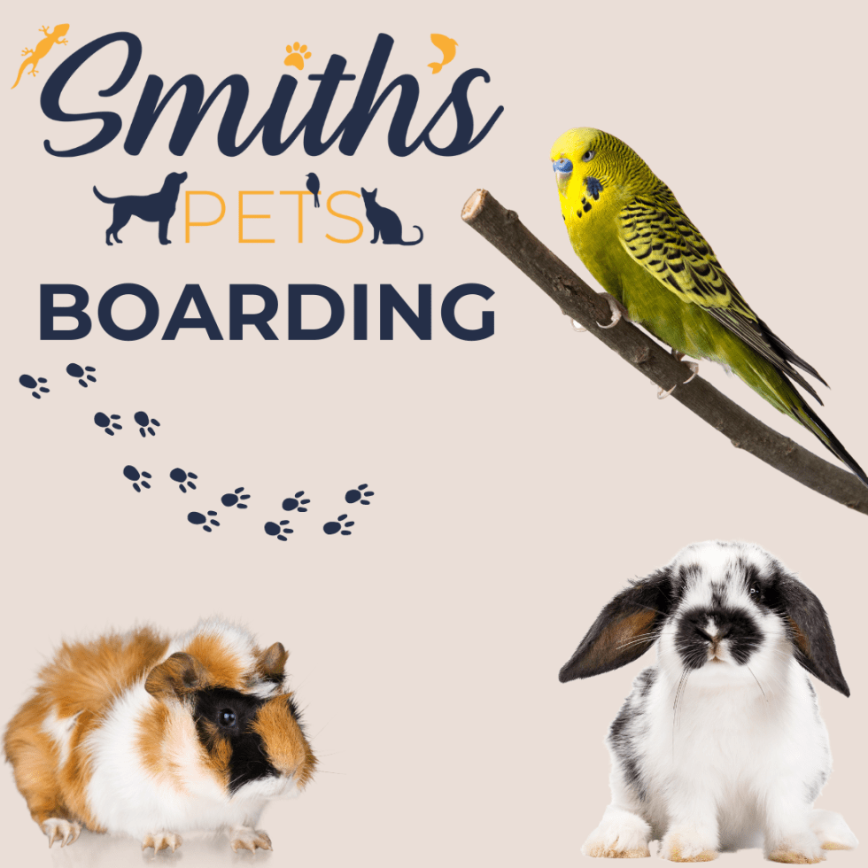 Home - Smiths Pets
